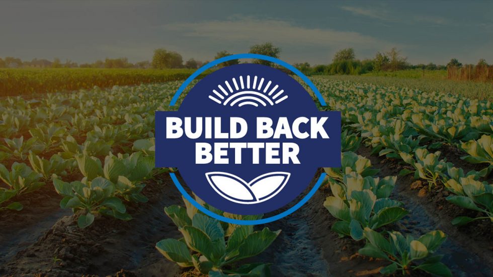 Hobbyists and School Teachers Could Thwart Success of Build Back Better Act